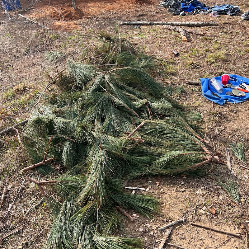 A Rite of Passage: Troop NC-0834's 36-hour Survival challenge